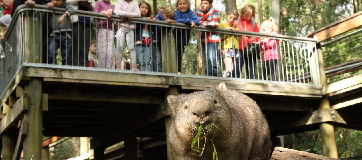 Why you need to hit the Fernleigh Track this year - Visit Newcastle